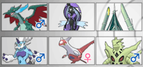 파티보고 포켓몬 랭커 맞추기 마추기 아이오