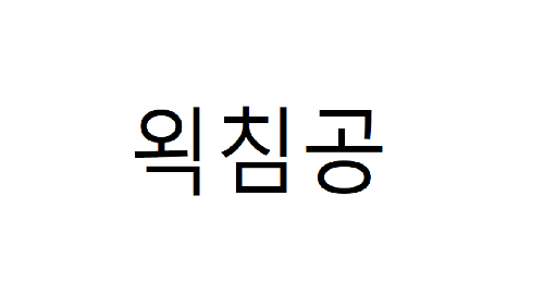 왹침공 캐릭터 맞히기 마추기 아이오